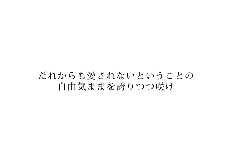枡野浩一 「だれからも愛されないということの自由気ままを誇りつつ咲け」 - kotobar 言葉・名言・格言・迷言